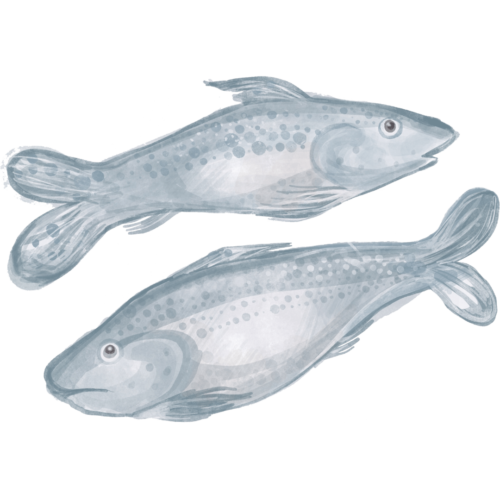 Lent - The Catholic Homeschool